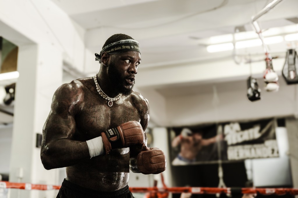 How To Watch Deontay Wilder vs Tyrrell Herndon - Fights Around The World
